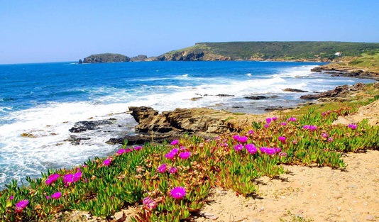 Riola Sardo Costa Sarda Occidentale Sardegna - Locali d'Autore