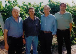 Ocone Vini Campania Grappe Vini e Prodotti Tipici in Ponte Benevento e ...